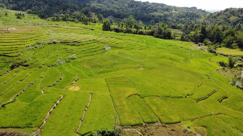 Bohol Candijay Rice Terraces, Water Falls & Anda Beach | GetYourGuide