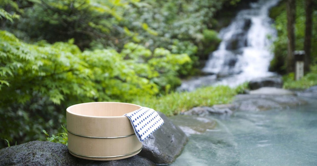Tokyo: Privat dagstur til Hakone med onsen og sejltur på Ashi-søen ...