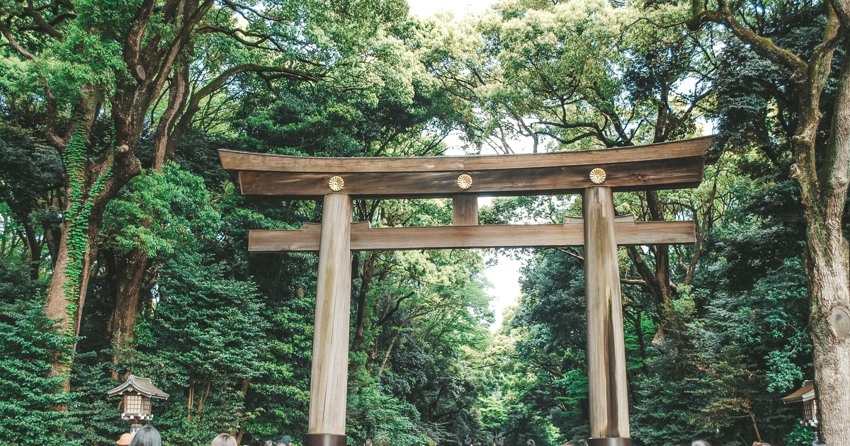 Tokyo: Store højdepunkter – rundtur i Asakusa, Shibuya og Meiji ...