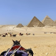 Hurghada: Cairo Day Trip by Flight, Pyramids,sphinx & Museum - 2026 ...
