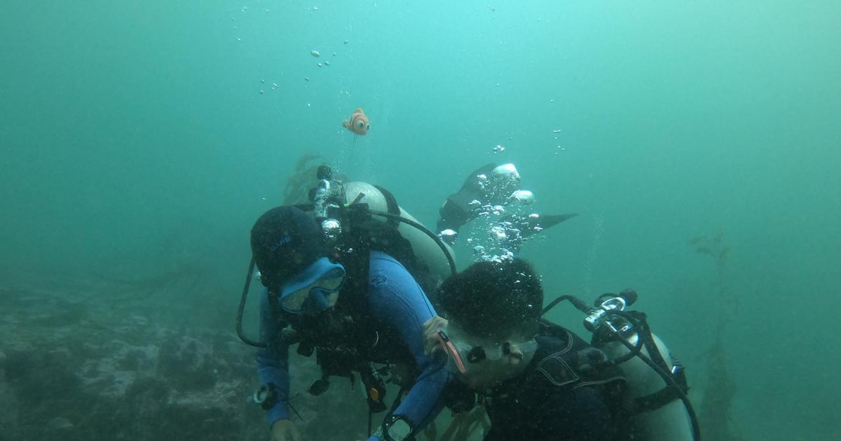 Lima: Discover Scuba Diving - First Experience | GetYourGuide