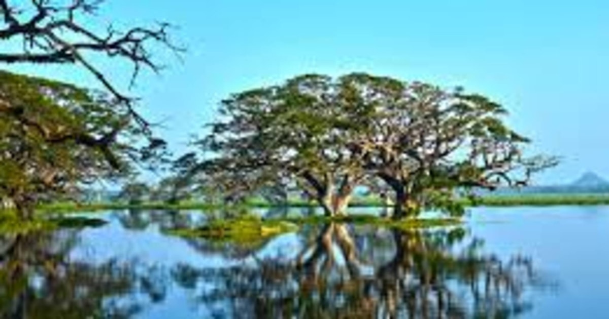 Thissa Lake Boat Safari | GetYourGuide