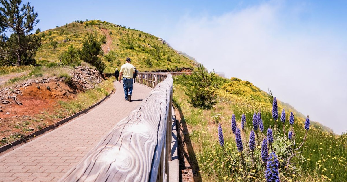 Madeira: Volwassenen dag alleen Oost 4x4 Tour | GetYourGuide
