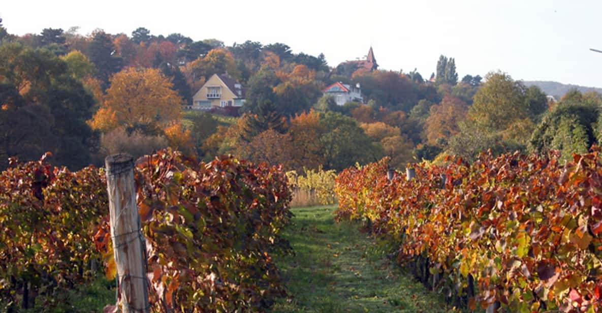 Vienna 3-Hour Hiking Tour of Wiener Wald | GetYourGuide