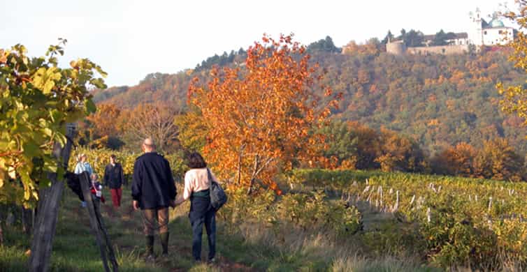 Vienna 3-Hour Hiking Tour of Wiener Wald | GetYourGuide