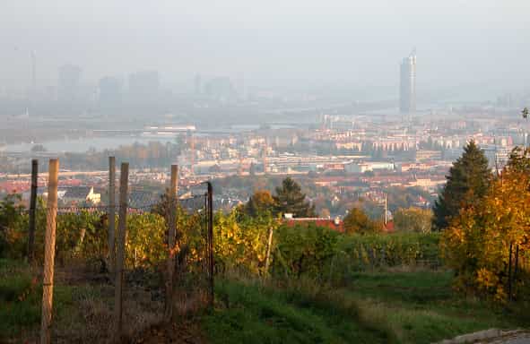 Vienna 3-Hour Hiking Tour of Wiener Wald | GetYourGuide