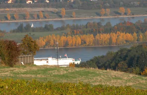 Vienna 3-Hour Hiking Tour of Wiener Wald | GetYourGuide