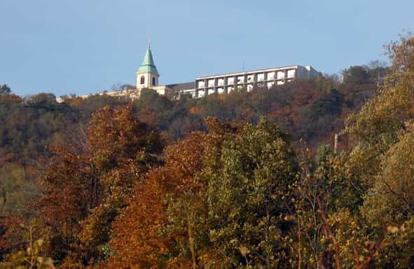 Vienna 3-Hour Hiking Tour of Wiener Wald | GetYourGuide