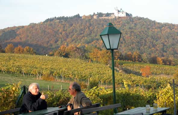 Vienna 3-Hour Hiking Tour of Wiener Wald | GetYourGuide