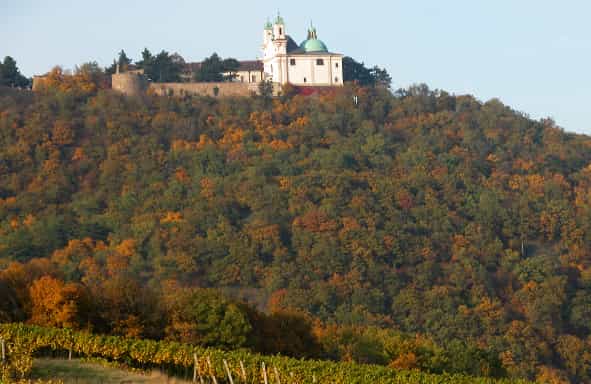 Vienna 3-Hour Hiking Tour of Wiener Wald | GetYourGuide