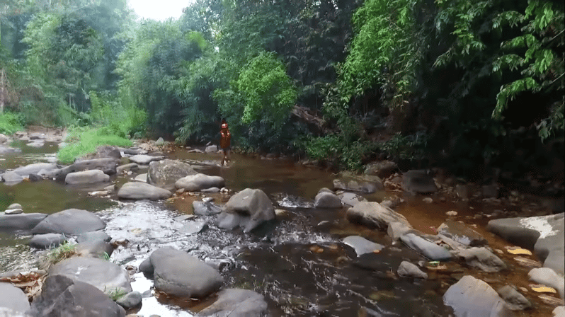 Sri lanka jungle trek/hike, Sinharaja 5 waterfalls hike | GetYourGuide