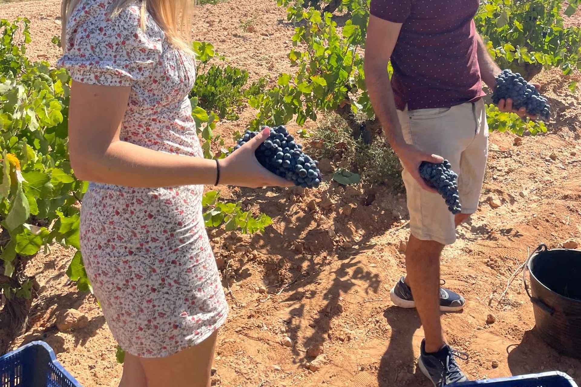 Valencia: Utiel-Requena Cave & Winery Day Trip with Tasting | Guide to ...