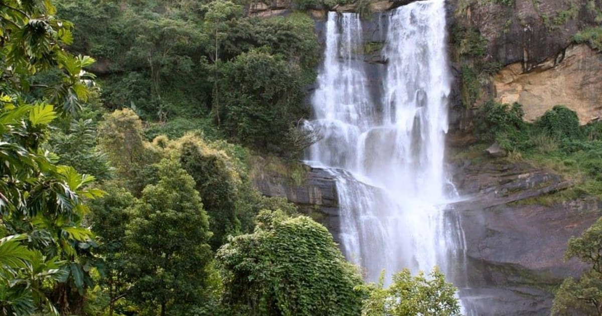 MOSHI: Materuni Waterfall, Coffee Farm, and Hot Springs Tour | GetYourGuide