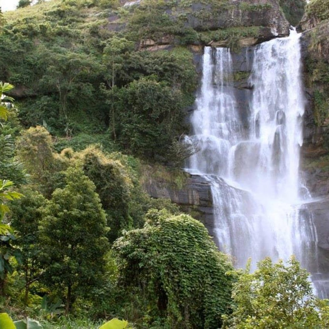 MOSHI: Materuni Waterfall and Coffee Farm | GetYourGuide