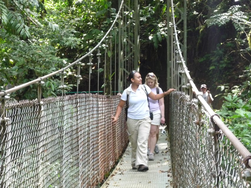 La Fortuna: Wycieczka po wiszących mostach Arenal | GetYourGuide