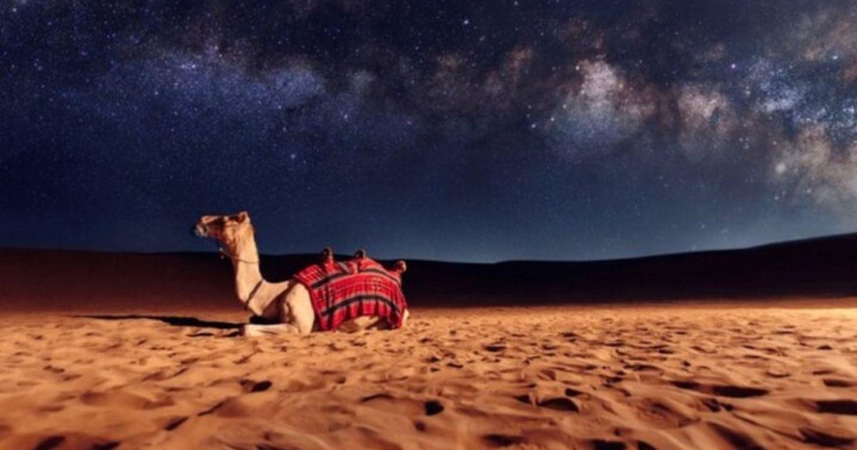Doha: Desert Safari with BBQ Dinner, Camel Ride & More | GetYourGuide