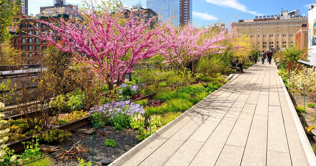 Private Tour of High Line, Chelsea, Hudson Yards and Edge | GetYourGuide