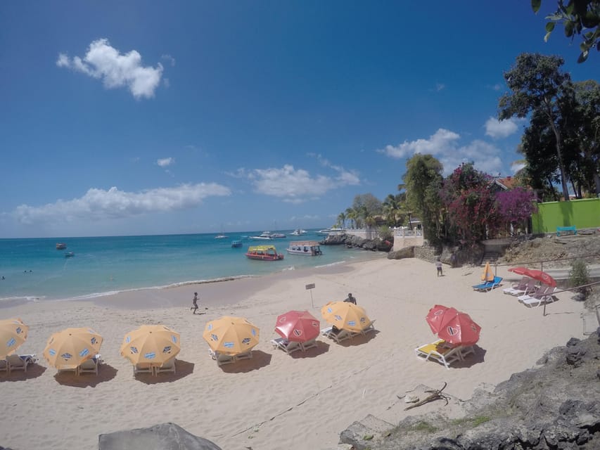 Tobago: Glass Bottom Boat & Highlights Tour | GetYourGuide