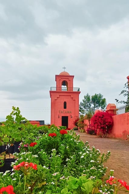 Oenological route: Tacama, Pisco Museum and Pisco sour Class | GetYourGuide