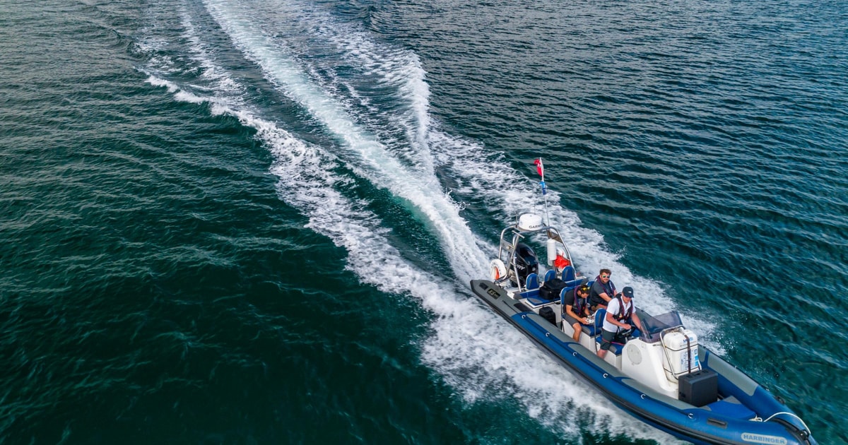 Falmouth: Two hour RIB Tour | GetYourGuide