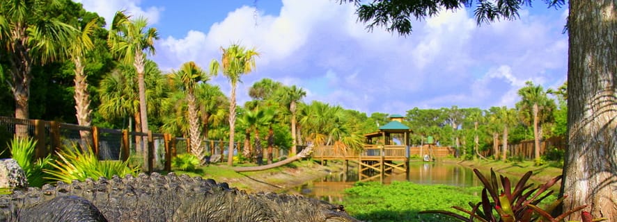 Wild Florida Airboats & Gator Park, Florida - Book Tickets & Tours ...