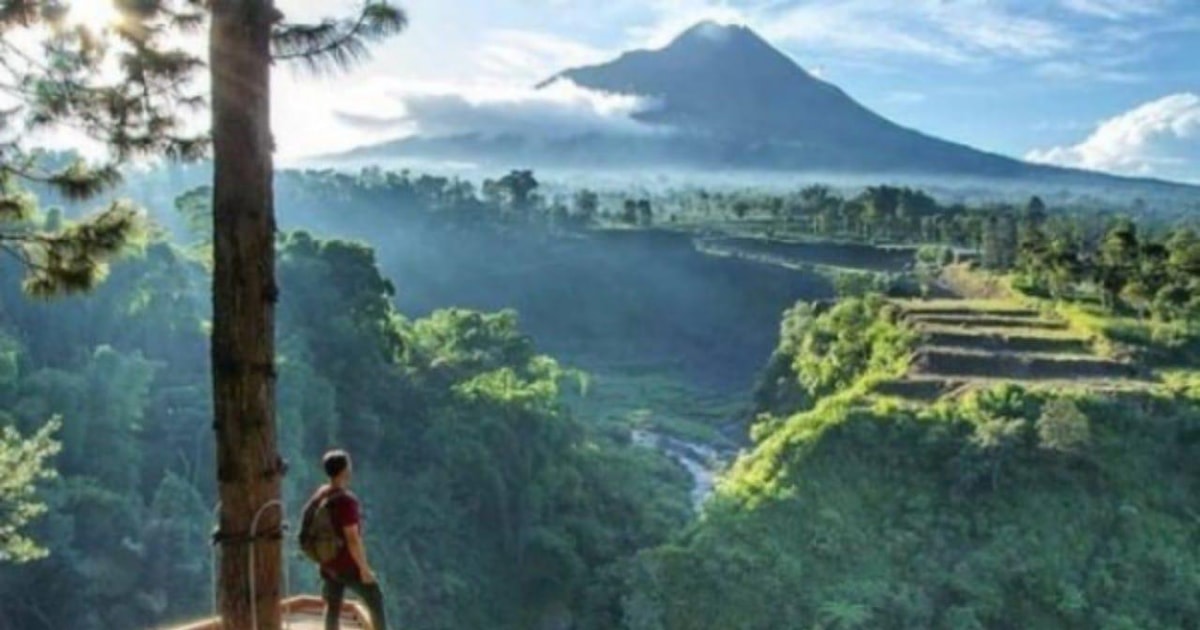 Yogyakarta; Waterfall and Selogriyo terraced rice fields | GetYourGuide