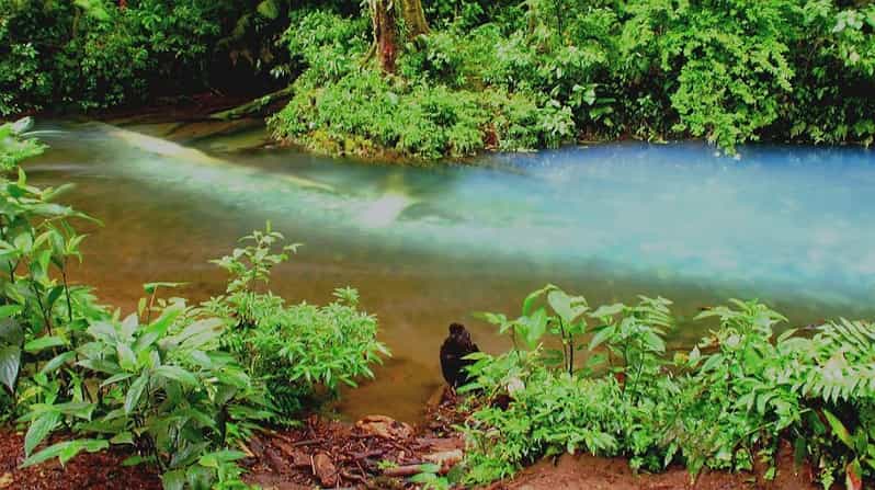 Small-Group Blue River & Tenorio Volcano National Park Hike | GetYourGuide