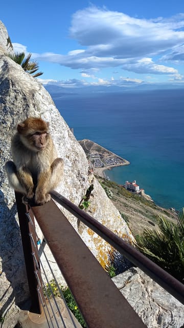 Gibraltar Sightseeing - Classic Rock Tour | GetYourGuide