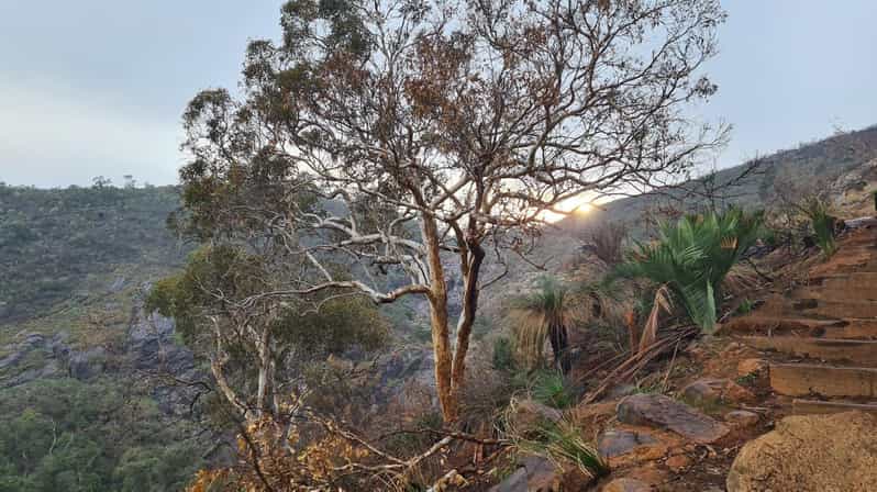 Perth : Cascades, fleurs sauvages et randonnée à Wandoo | GetYourGuide