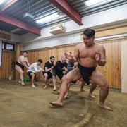 Authentic Sumo Experience in Tokyo : Enter the Sanctuary | GetYourGuide