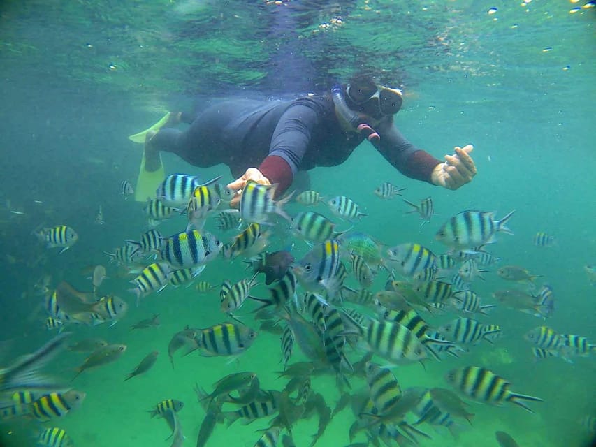 Snorkeling a Bintan | GetYourGuide