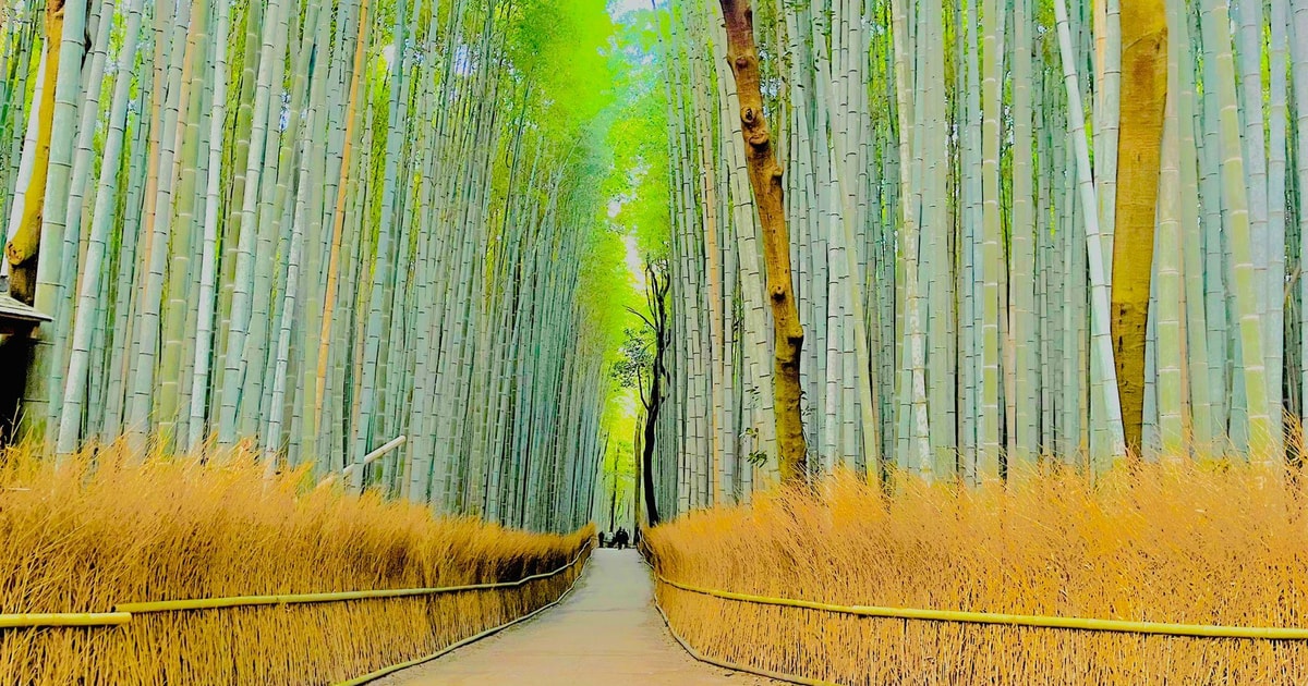 Kyoto: Highlights Tour with Geisha District and Temples | GetYourGuide