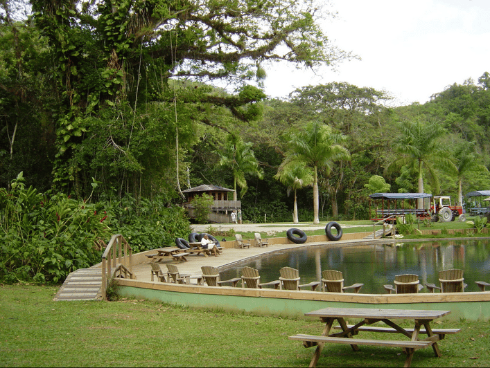 YS Falls & Appleton Estate Rum Tour from Montego Bay | GetYourGuide