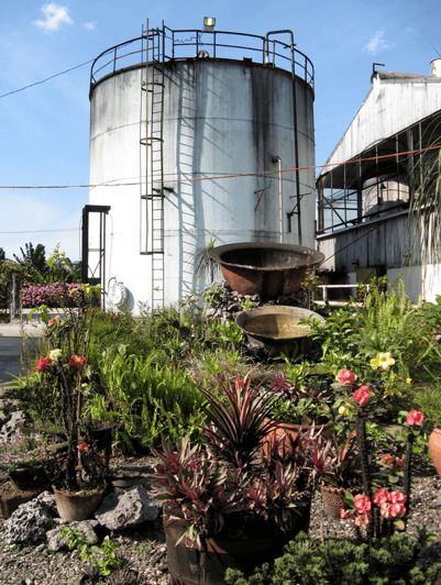 YS Falls & Appleton Estate Rum Tour from Montego Bay | GetYourGuide