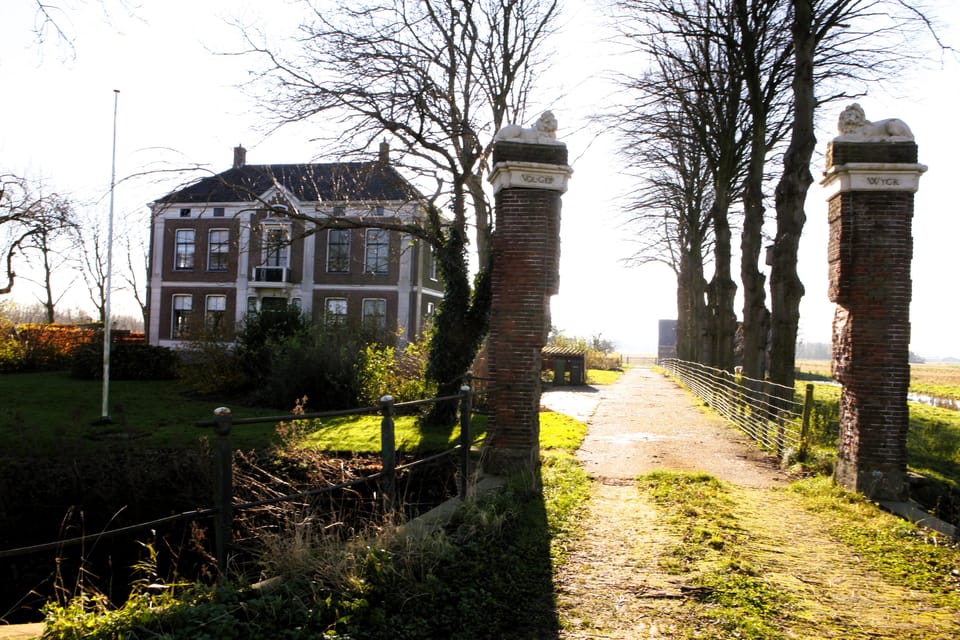 Holland: Highlights of Holland tour with cheese tasting | GetYourGuide