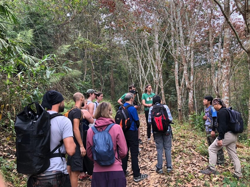 Chiang Rai: Jungle Avontuur-Groep trektocht & Bamboe koken | GetYourGuide