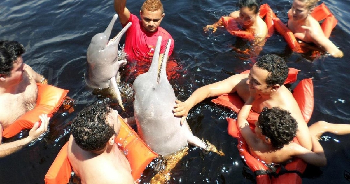 Amazon Safari® Manaus: Tagestour auf dem Amazonas | GetYourGuide