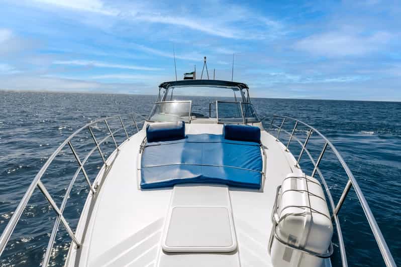 Dubai Deniz Kenarında 40ft Tekne Kiralama Gezisi | GetYourGuide