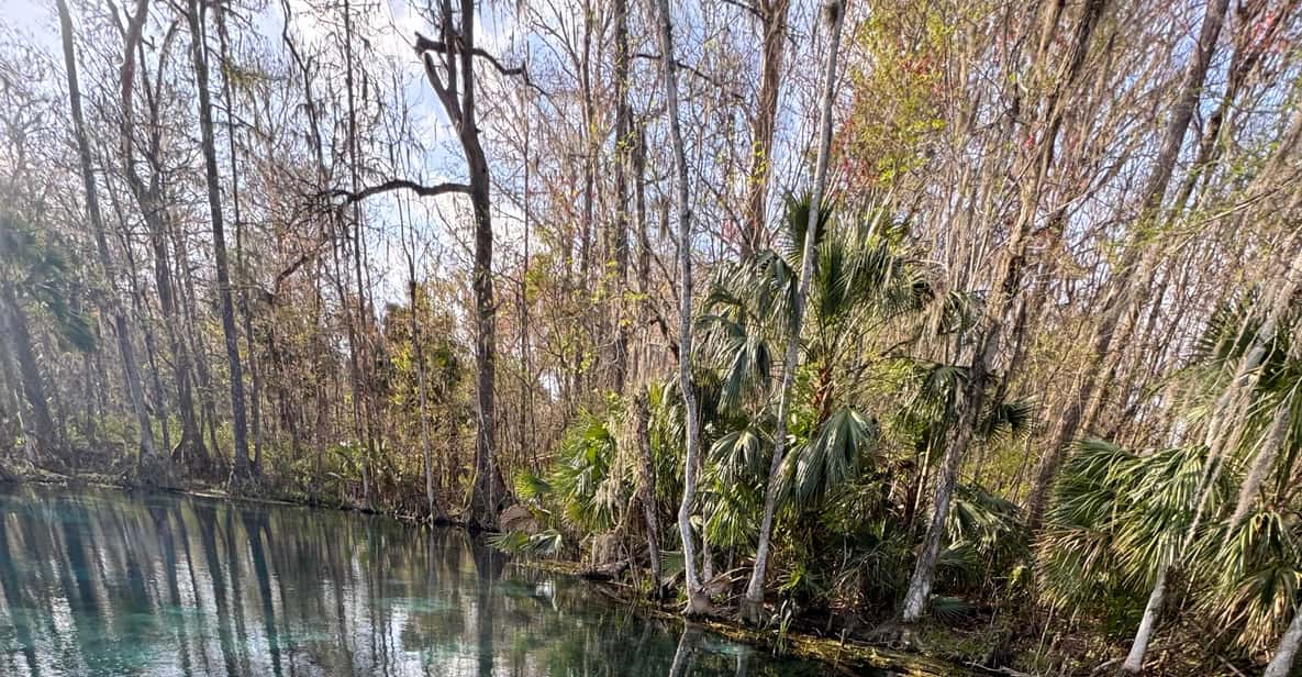 Silver Springs: Silver River Guided Kayak Tour | GetYourGuide