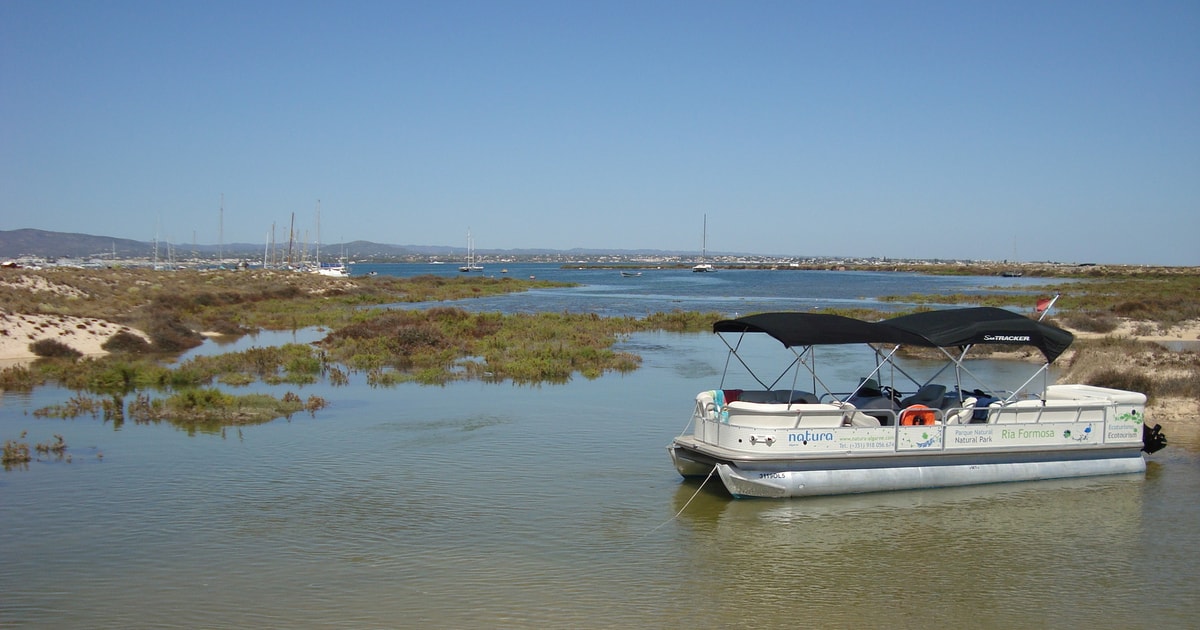 Olhão: gita in barca a Ria Formosa e Culatra (3,5 ore) | GetYourGuide