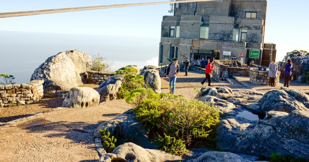 Cape Town: Yarım Gün Table Dağı ve Cape Town Şehir Turu | GetYourGuide