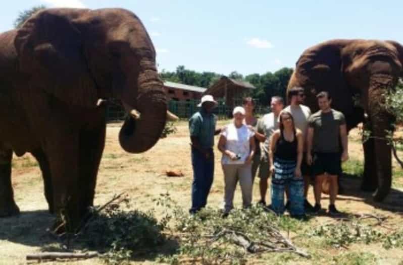 Elephant Sanctuary Sanctuary Experience | GetYourGuide