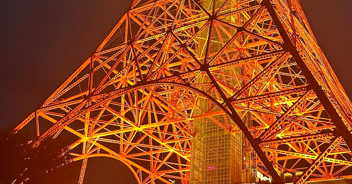 Tokyo: City tour with translator/guide in spanish | GetYourGuide