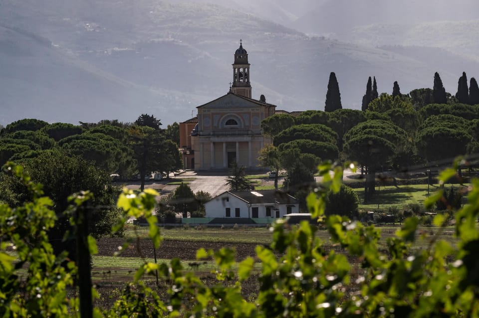 Montefalco: Winery and Vineyard Tour and Private Tasting | GetYourGuide