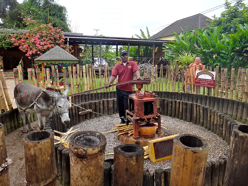 Appleton Estate Rum Tour from Montego Bay | GetYourGuide