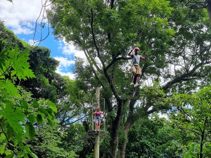 Zip Lining and Canopy Tree Tour in Rio de Janeiro | GetYourGuide