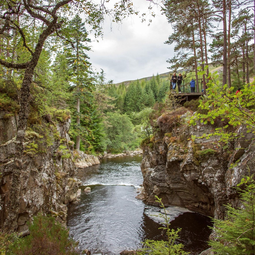 From Edinburgh: Loch Ness and Scottish Highlands Day Tour | GetYourGuide