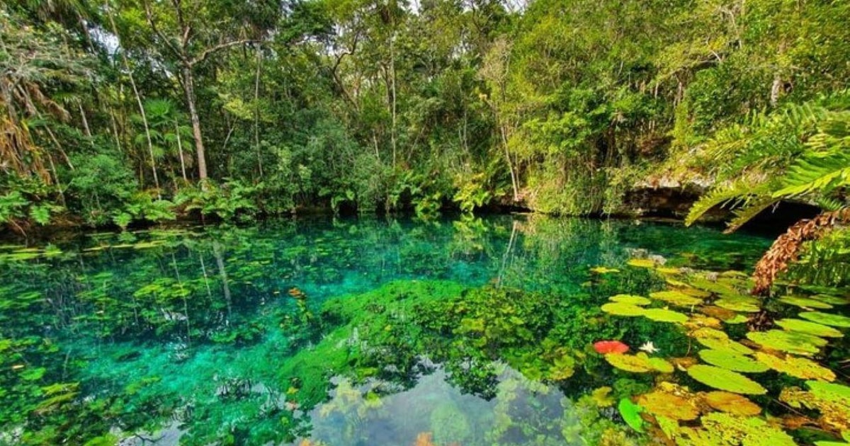 Tulum: Half-Day Adventure Zip line Cenote in Mayan Community | GetYourGuide