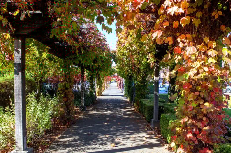 San Francisco: Napa and Sonoma Valley Wine Tour | GetYourGuide