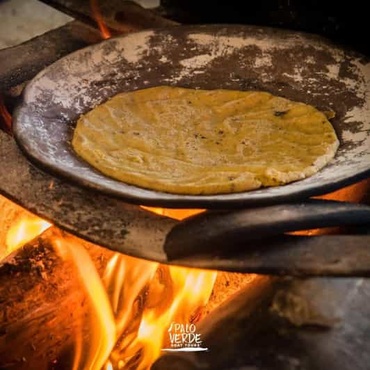 Palo Verde: Tempisque River Wildlife Safari with Lunch | GetYourGuide